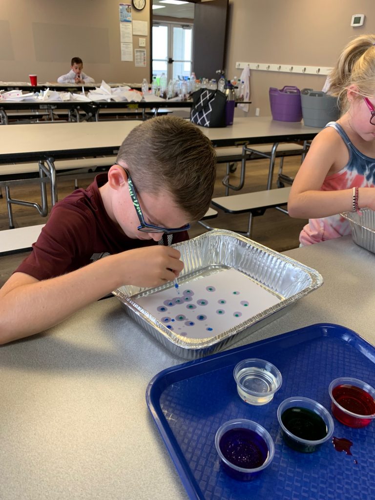 Science Summer Camp Information – EEEK Science